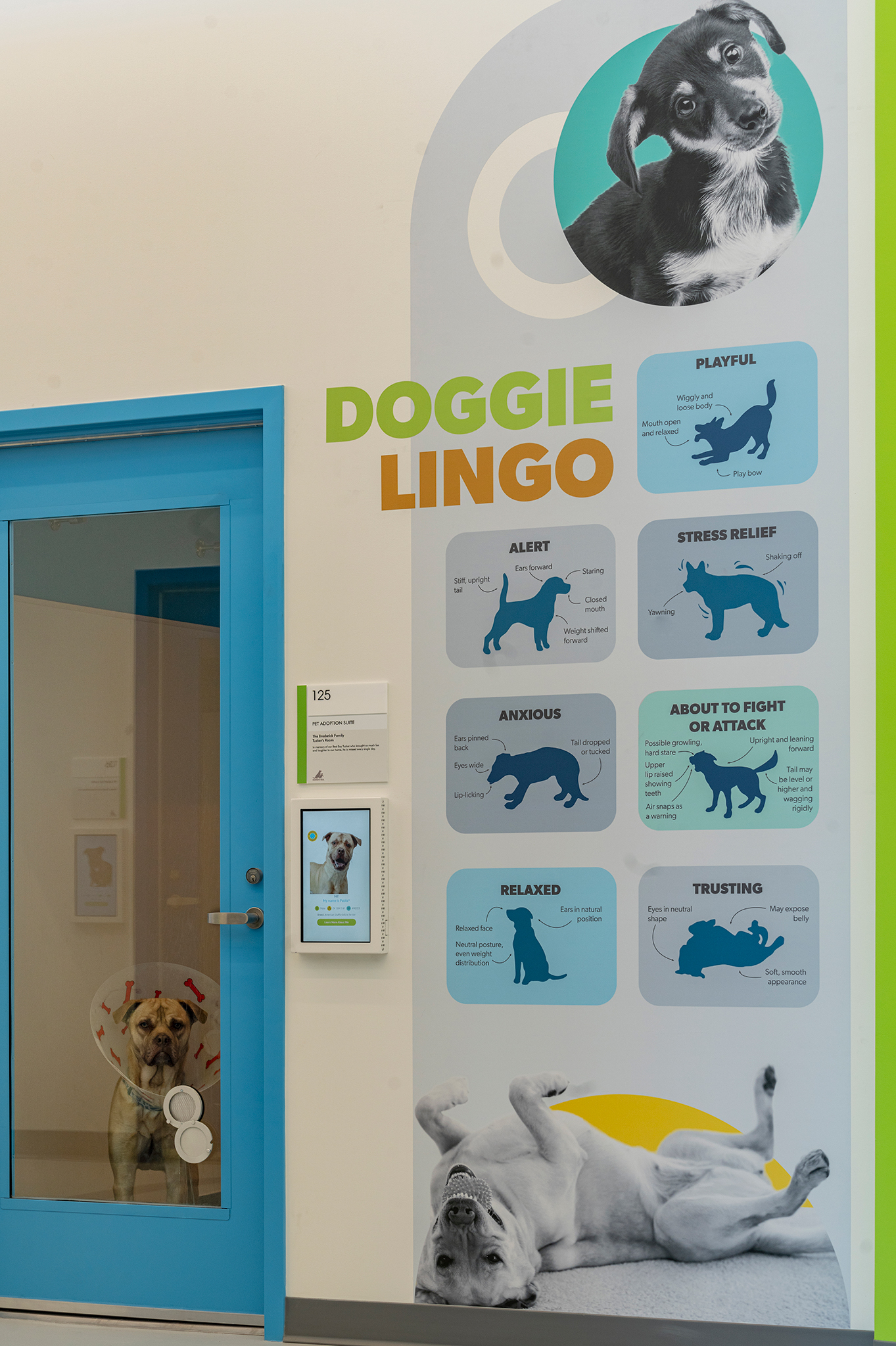 Regina Animal Community Centre - Number TEN Architectural Group